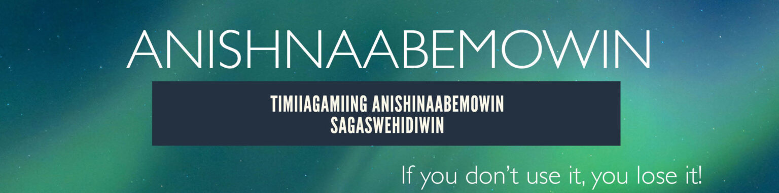 Anishinaabemowin Lessons